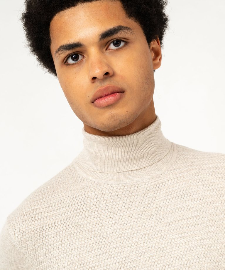 Pull à col roulé en maille fine homme beige clair | GEMO