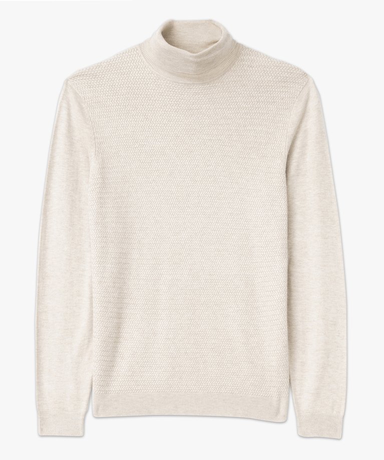Pull à col roulé en maille fine homme beige clair | GEMO